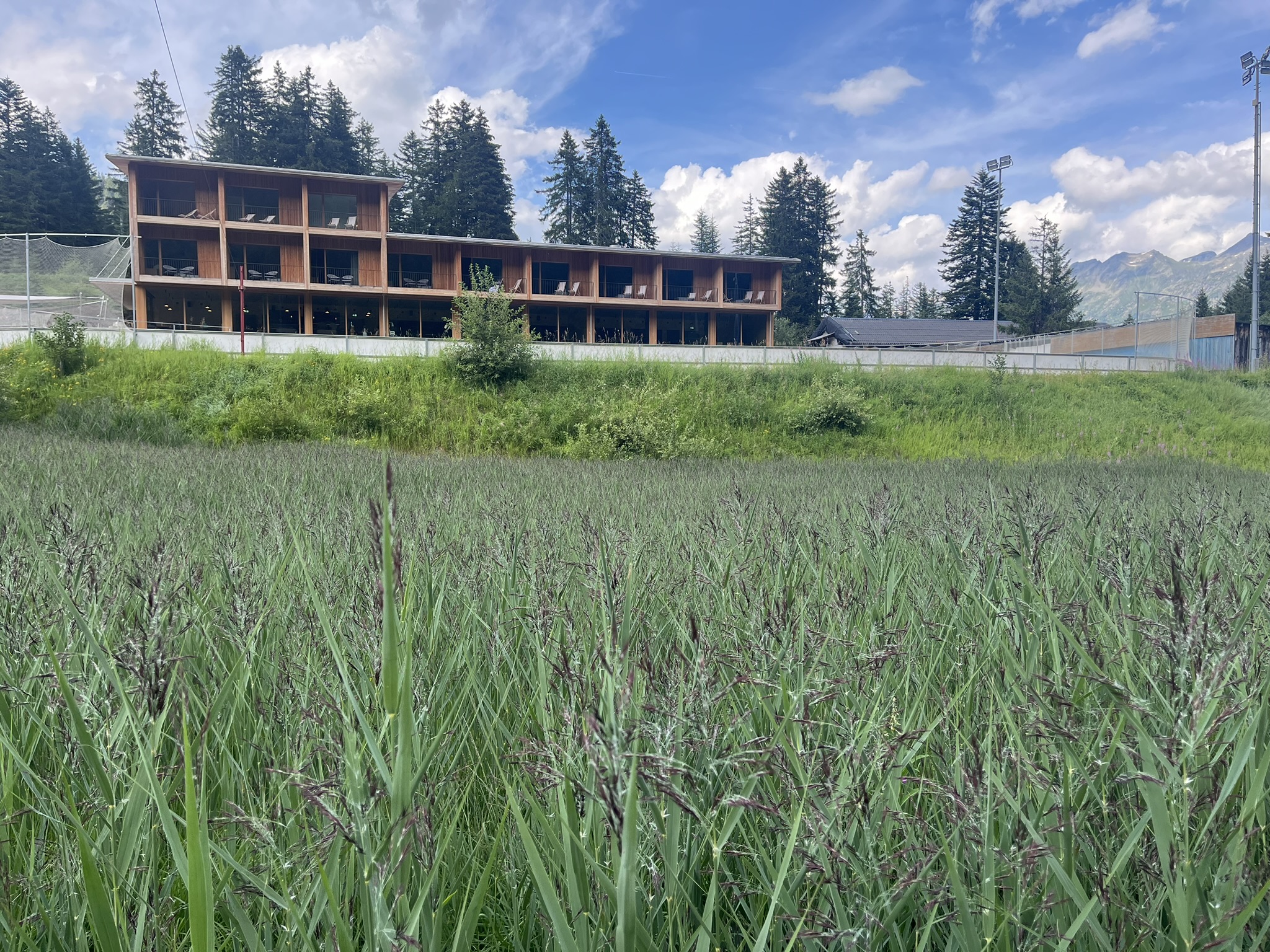 Home estate - Campra nordic